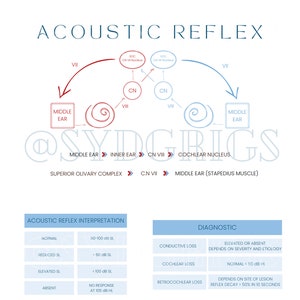 Audiology Cheat Sheets - Etsy
