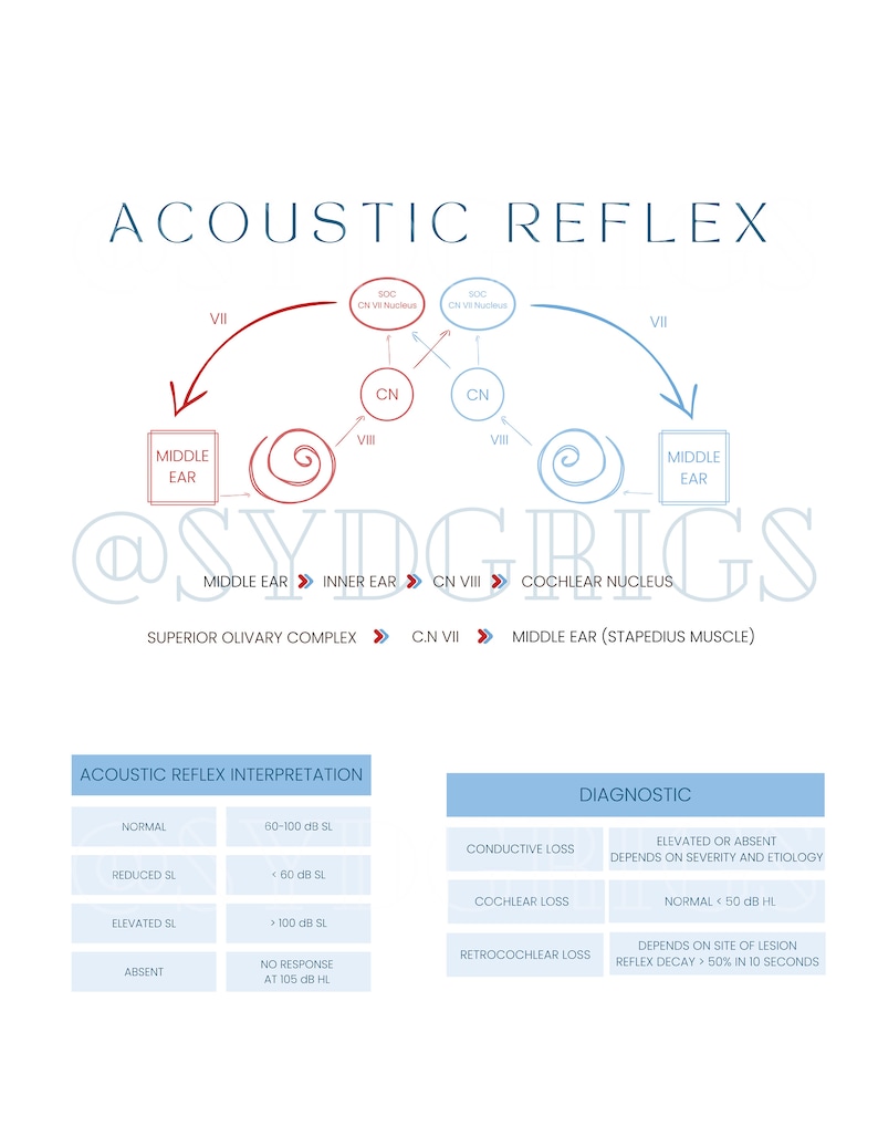 Audiology Cheat Sheets - Etsy