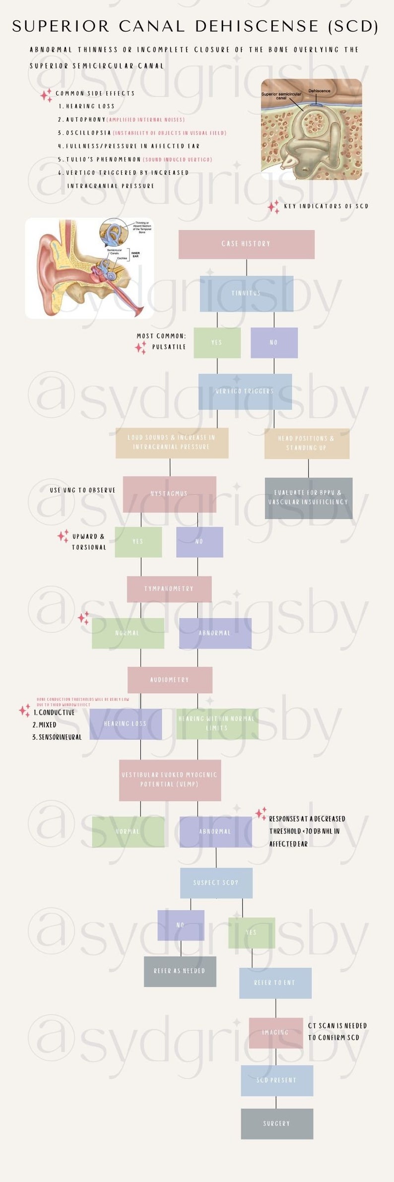 Diagnostic Flow Charts Pediatrics - Etsy