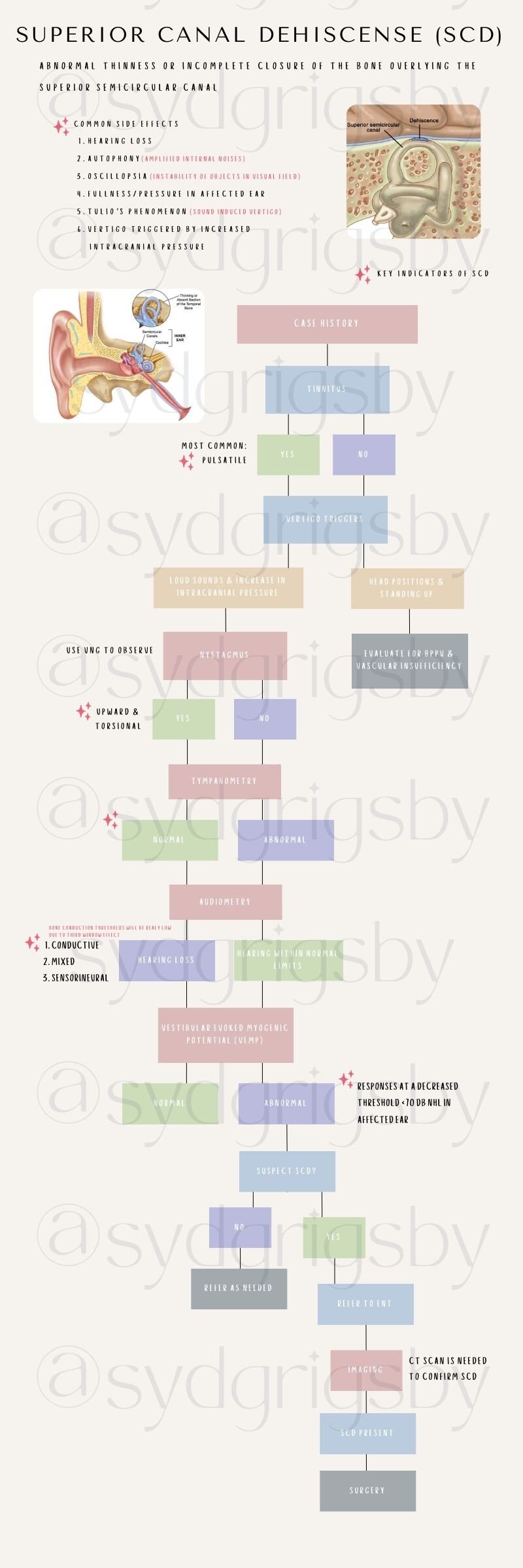 Diagnostic Flow Charts Pediatrics - Etsy