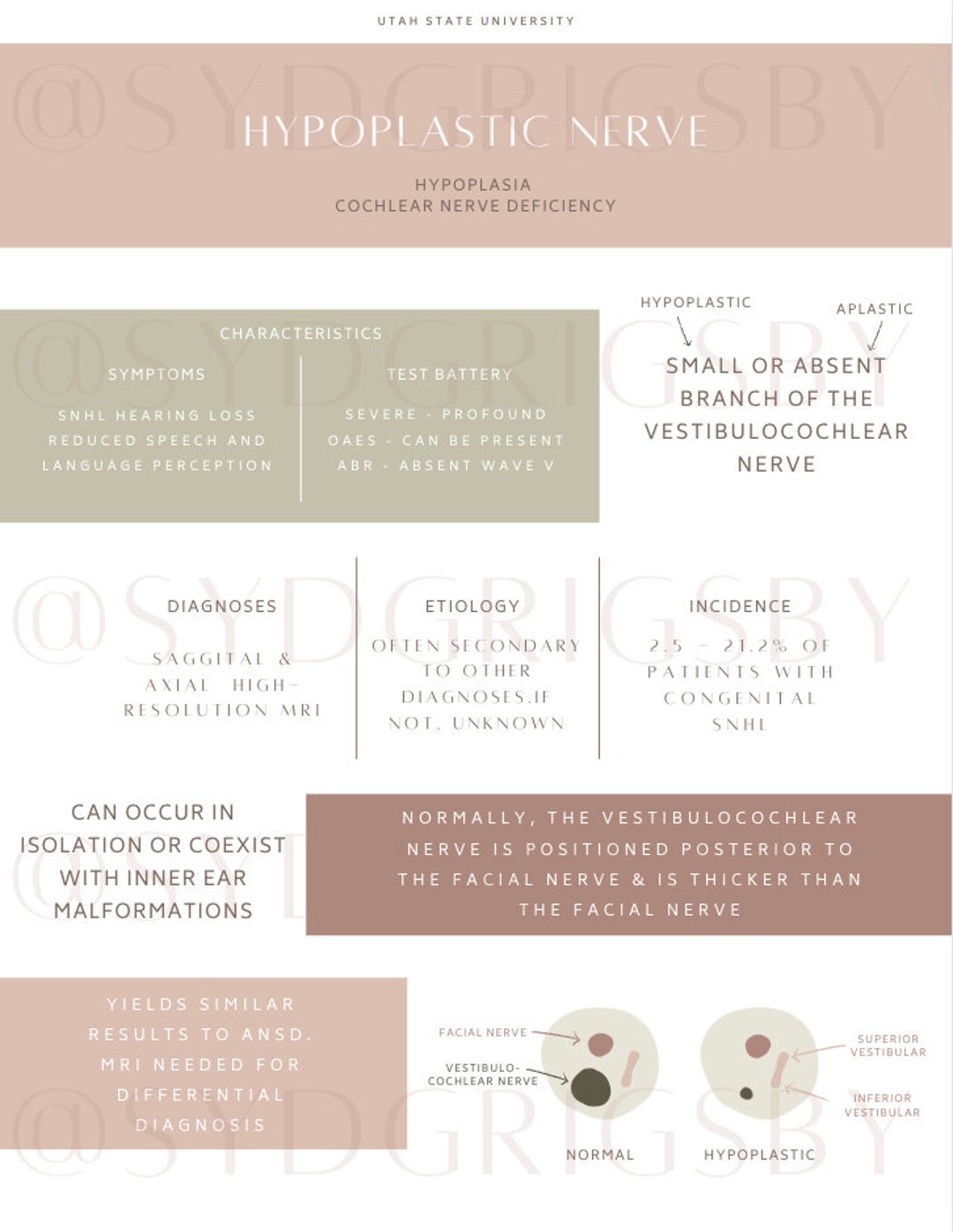 Hypoplastic Nerve Infographic - Etsy