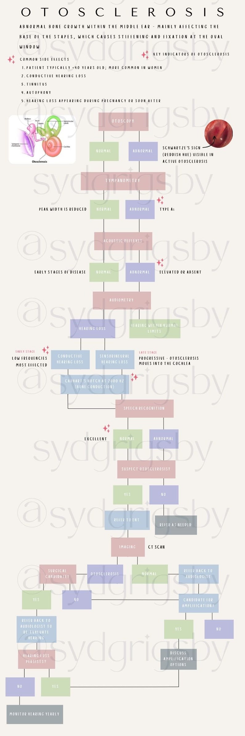 Diagnostic Flow Charts Pediatrics - Etsy Australia