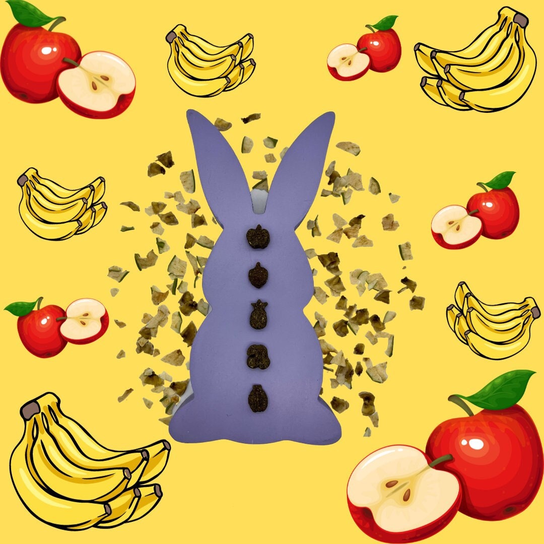 RUDY FRUTTI: Apple and Banana Treats for Rabbits and Small Animals - Etsy