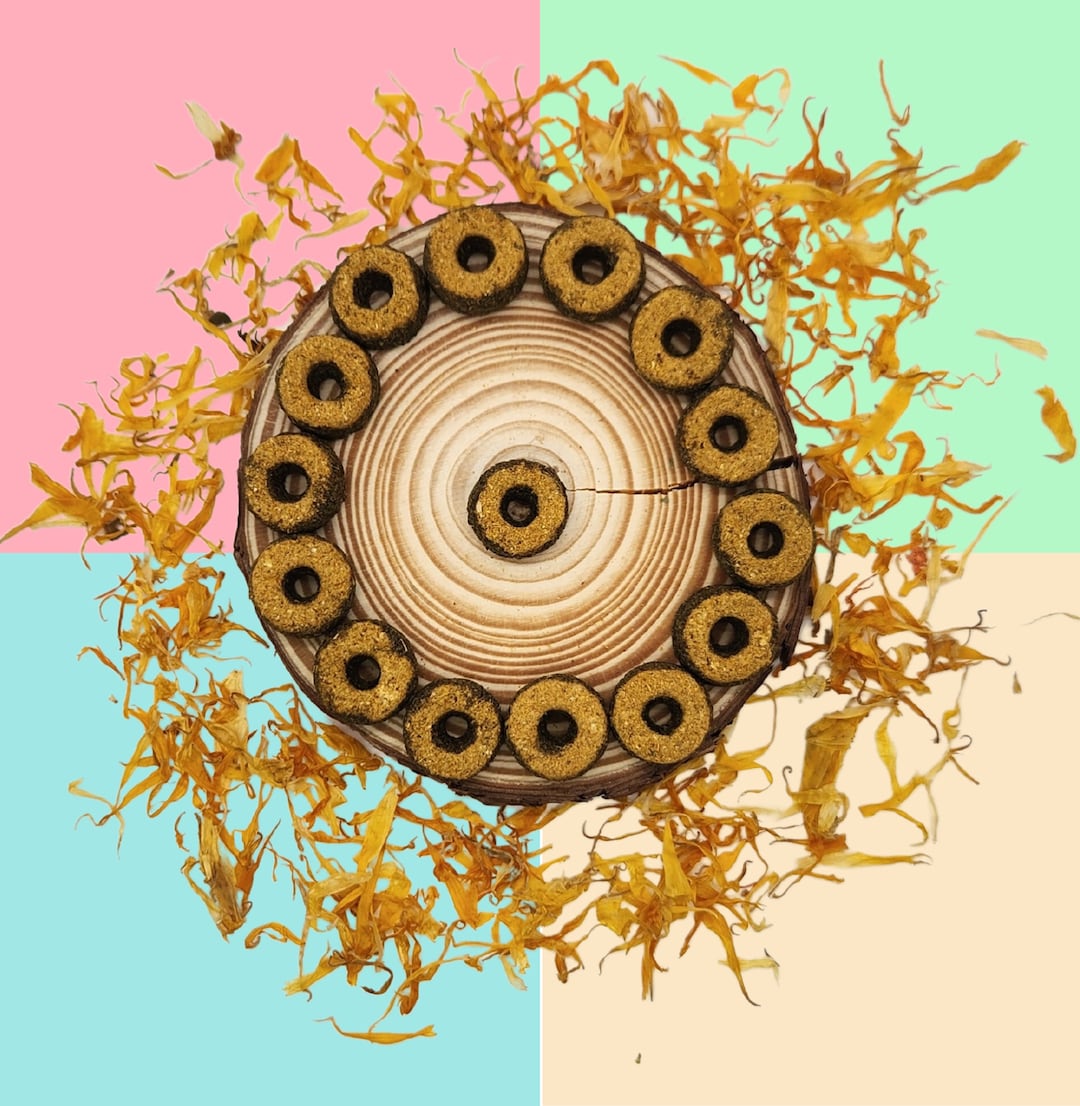 BUTTERED DONUT Rabbit Treat and Small Animal Treat - Etsy