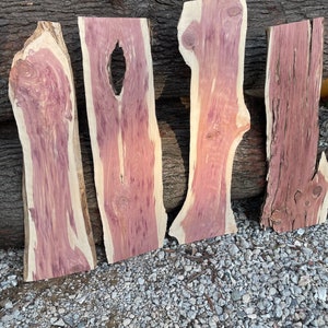 Live Edge Cedar 2448 Length Boards and Various Widths: Unique and ...