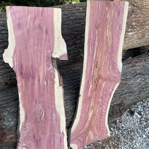Live Edge Cedar 2448 Length Boards and Various Widths: Unique and ...
