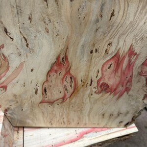 Flaming Box Elder Turning Blanks -free Shipping- - Etsy