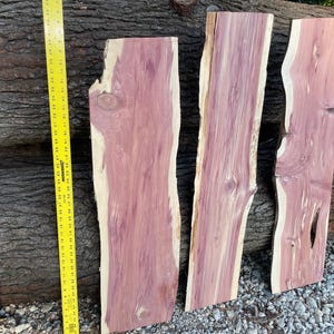 Live Edge Cedar 24”-48” Length Boards and Various Widths: Unique and ...