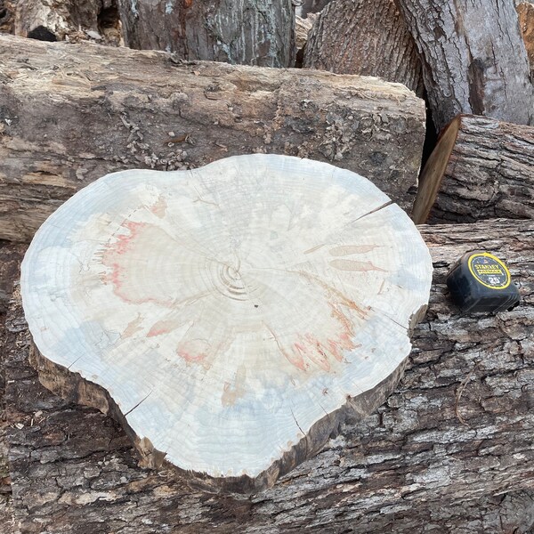 Box Elder Burl - Etsy