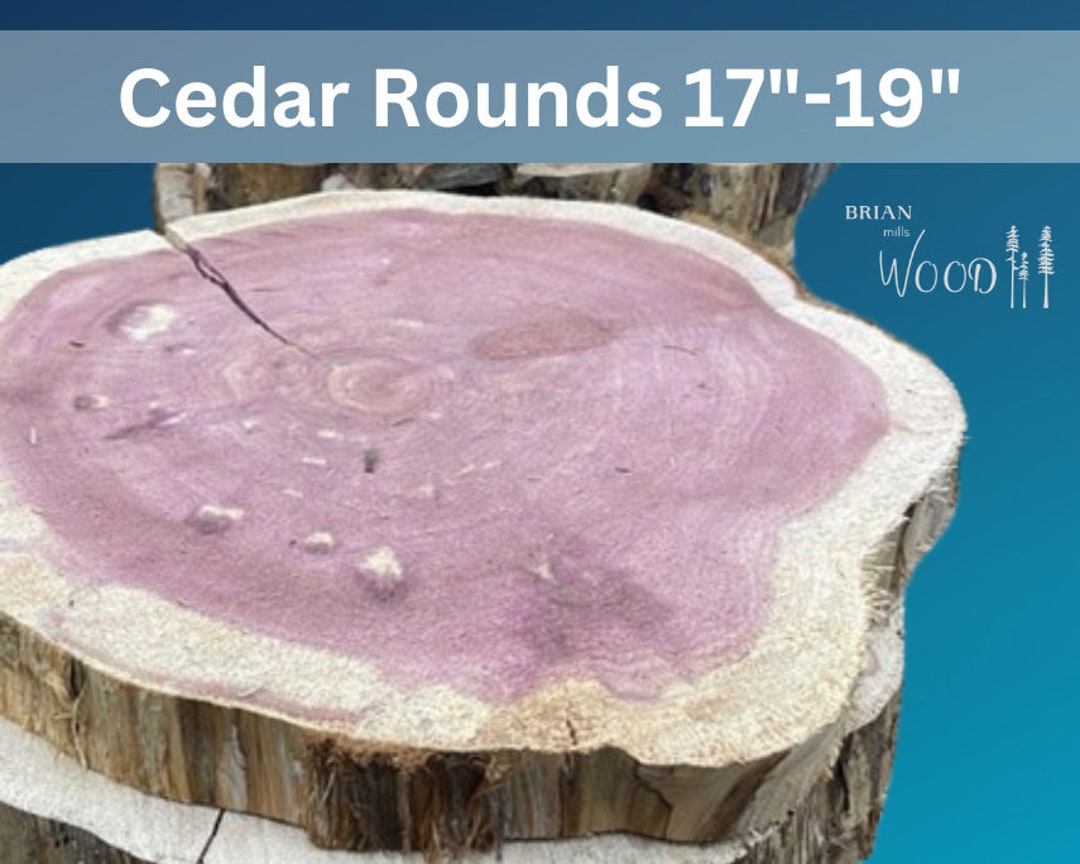 Cedar Rounds 1719 Diameter - Etsy