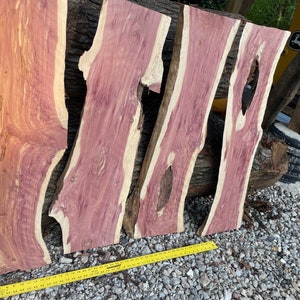 Live Edge Cedar 2448 Length Boards and Various Widths: Unique and ...