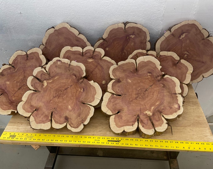 Large Cedar Rounds - Etsy