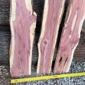 Live Edge Cedar 24”-48” Length Boards and Various Widths: Unique and ...