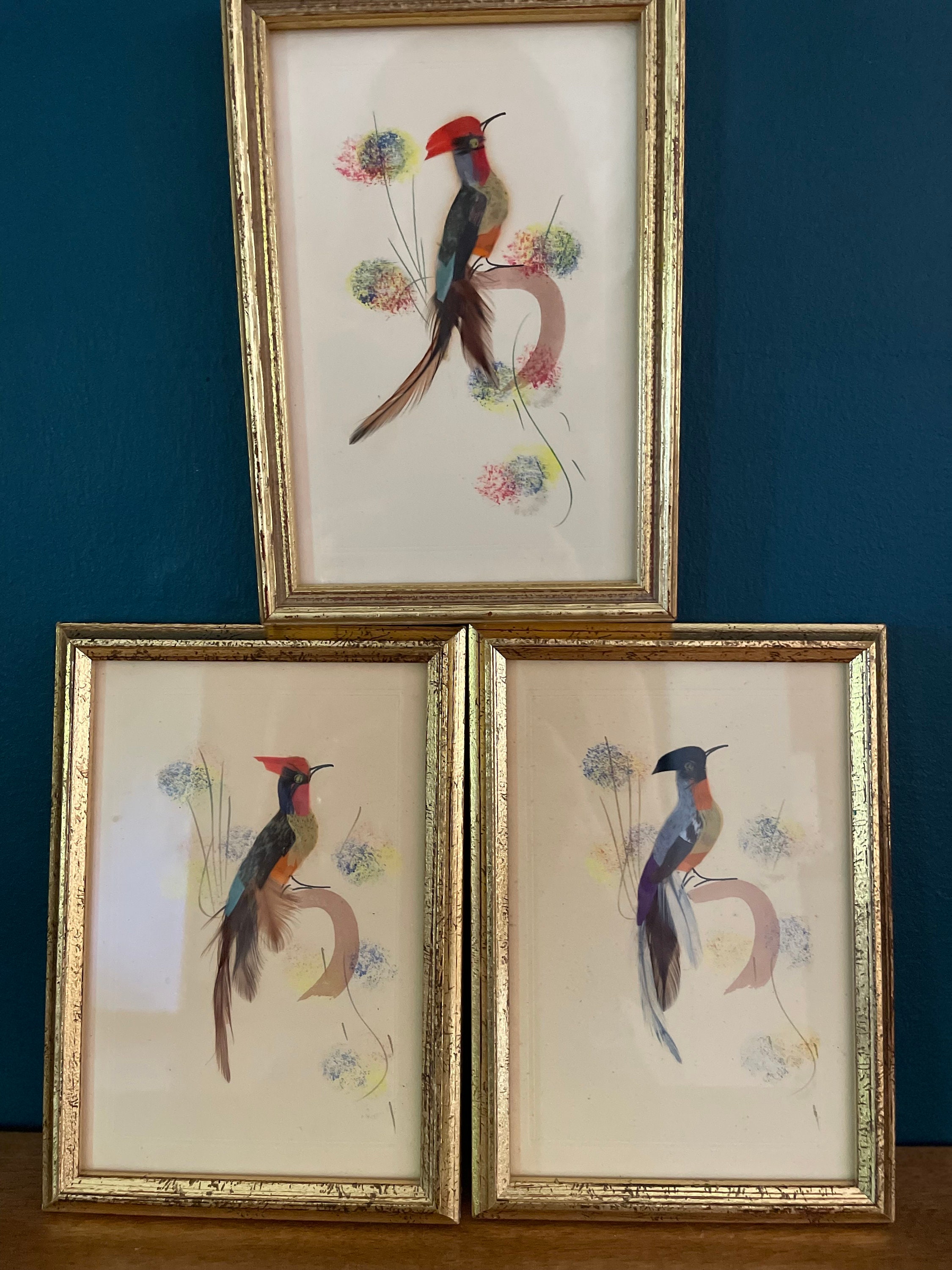 Vintage Set 3 Feather Birds Wall Art Framed Wonderful Detail 7.5 X 5.25 ...