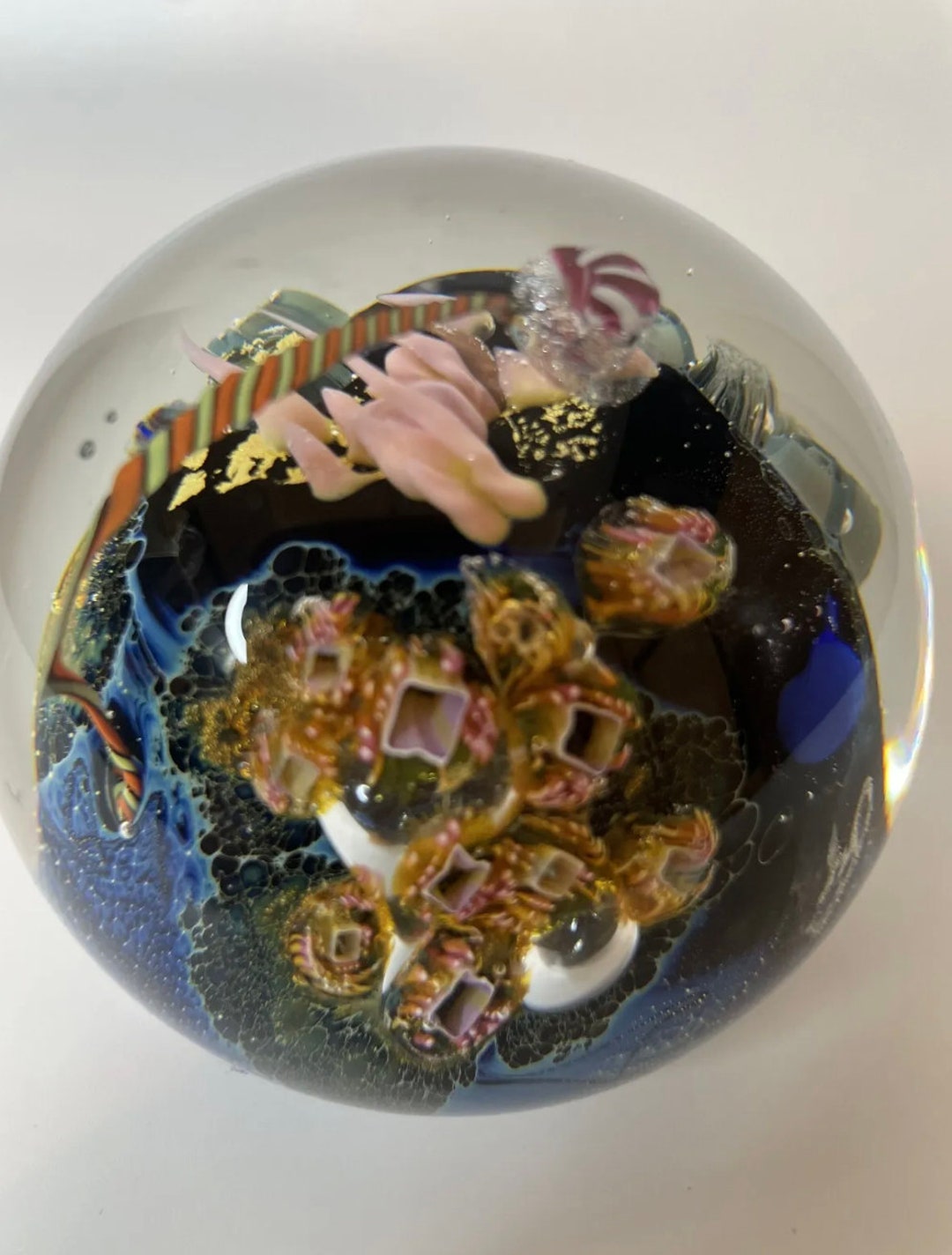 Josh Simpson Inhabited Planet Art Glass Paperweight Ocean Reef Sea Life ...
