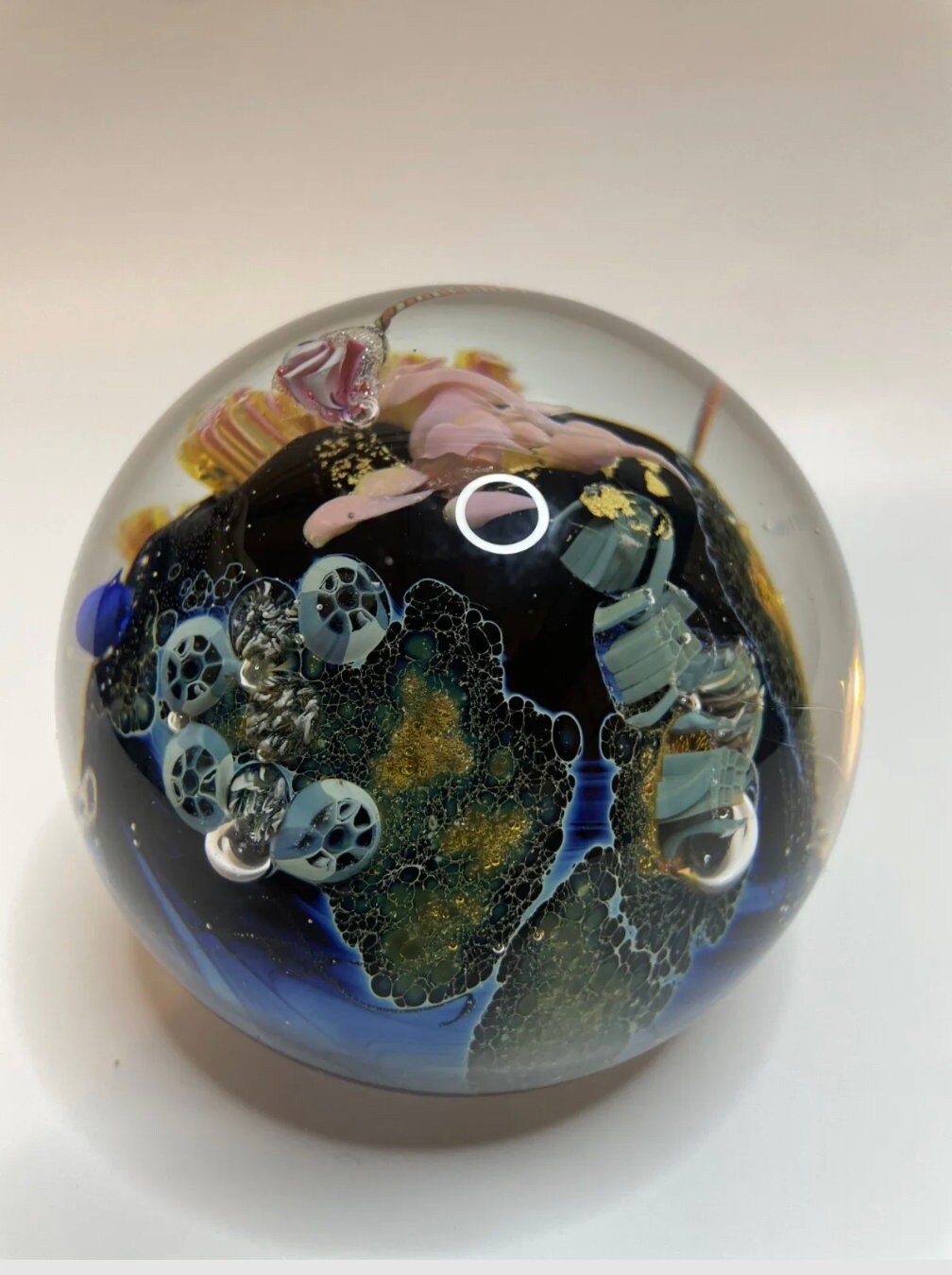 Josh Simpson Inhabited Planet Art Glass Paperweight Ocean Reef Sea Life ...