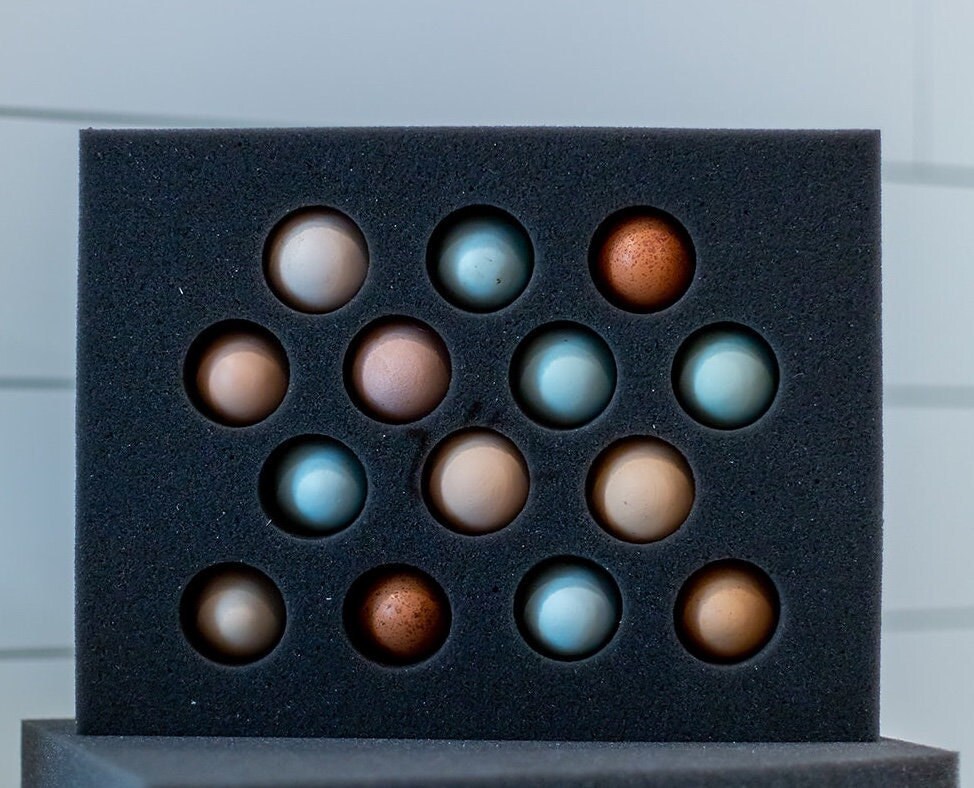 14 Egg Foam Shipper 5 Sets (chicken) - Etsy