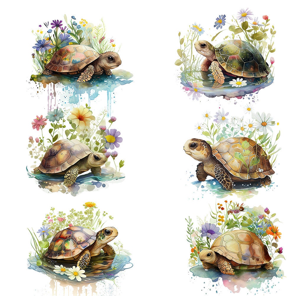 Watercolor Turtle PNG, Flowers Turtle, Sea Turtle PNG Sublimation ...