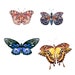 Vintage Moth Clipart, Digital Moth Illustrations PNG Clipart Format ...