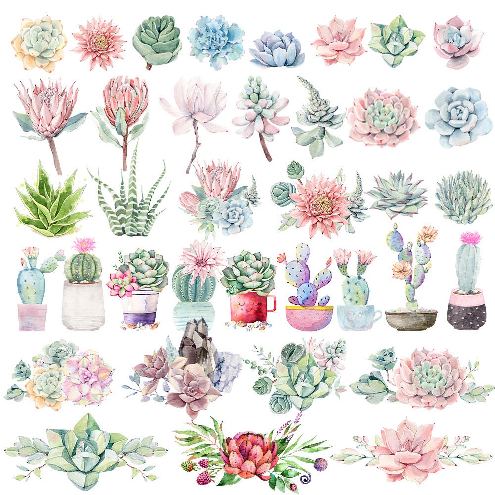 100 Createable Succulent Plants PNG Watercolor Cactus Clipart Bouquets ...