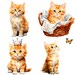 Watercolor Orange Kitten Clipart Cute Tabby Baby Cats and Kittens With ...