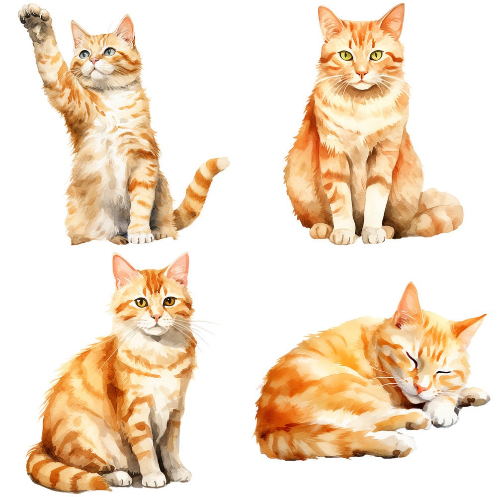 Funny Orange Cat Clipart, Orange Cat Sublimation, Realistic Cat Clip ...