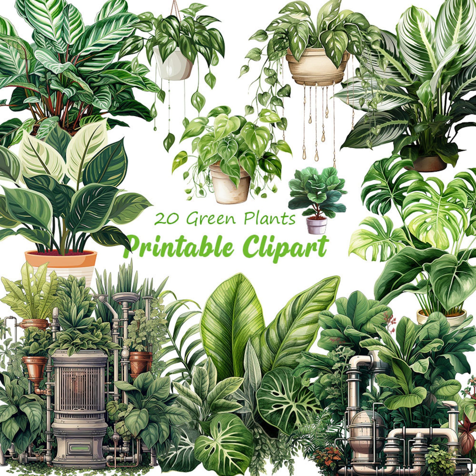Watercolor Green Plants Clipart PNG Bundle, Hanging Plants Grasses ...