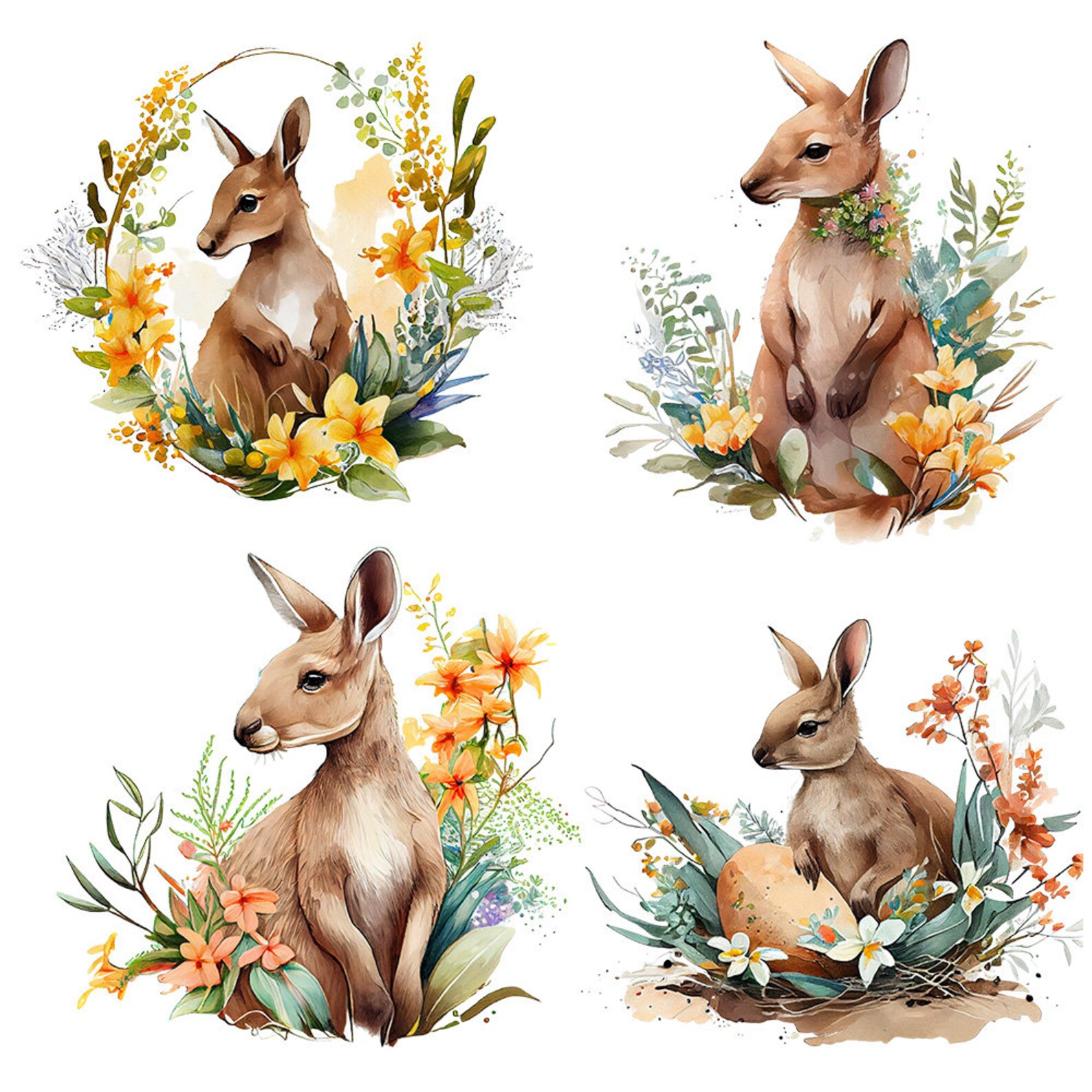 Watercolor Floral Kangaroo, Floral Kangaroo Png, Watercolor Kangaroo ...