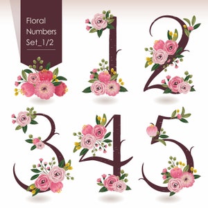 Floral Numbers, Watercolor Floral Numbers, Floral Numbers, Pink ...
