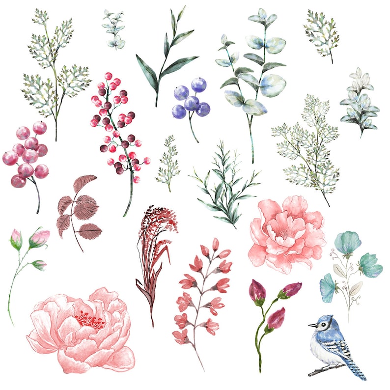 Digital Createable Hand Drow PNG Wild Flowers, Water Color Wild Floral ...