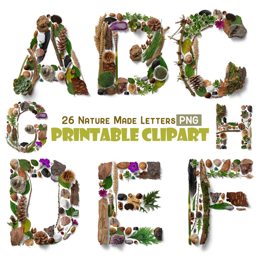 Nature Woodland Letters PNG, Floral Crystal Alpha Set (digital Download ...