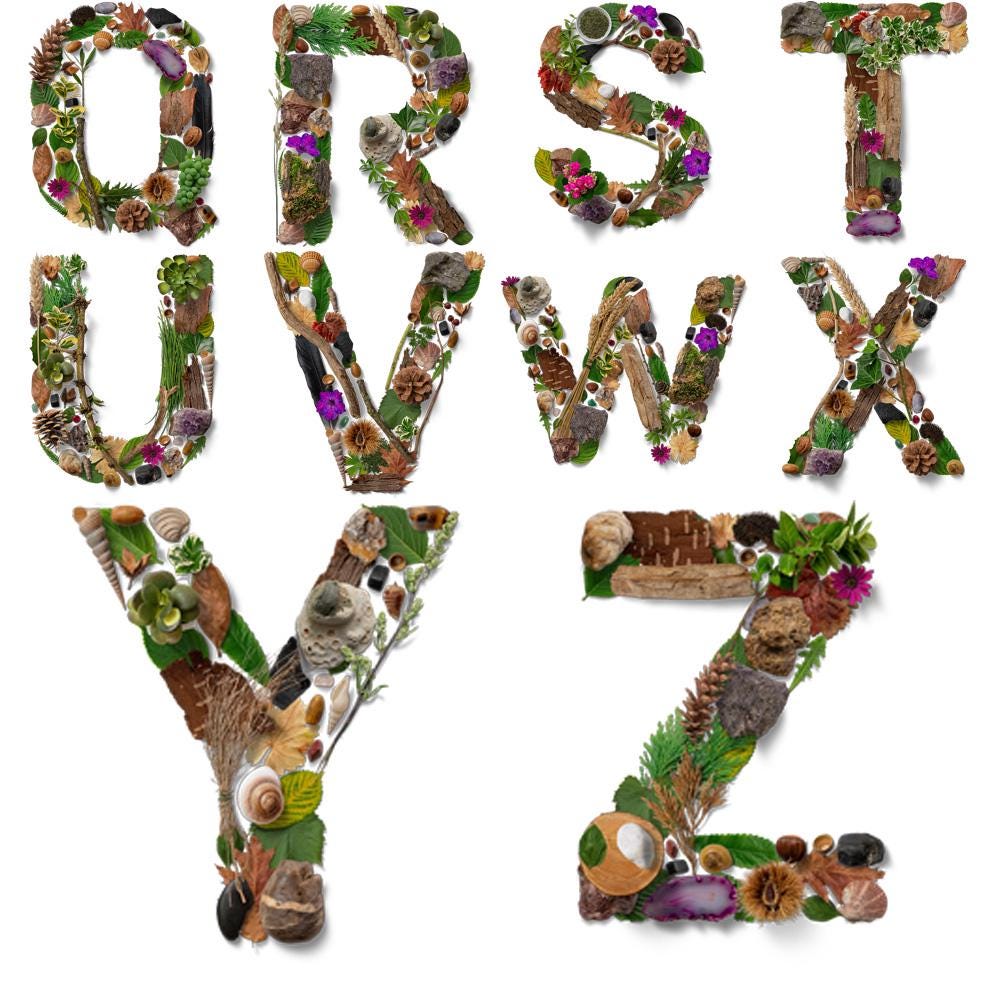 Nature Woodland Letters PNG, Floral Crystal Alpha Set (digital Download ...