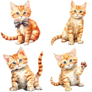 Watercolor Orange Kitten Clipart - Cute Tabby Baby Cats and Kittens ...