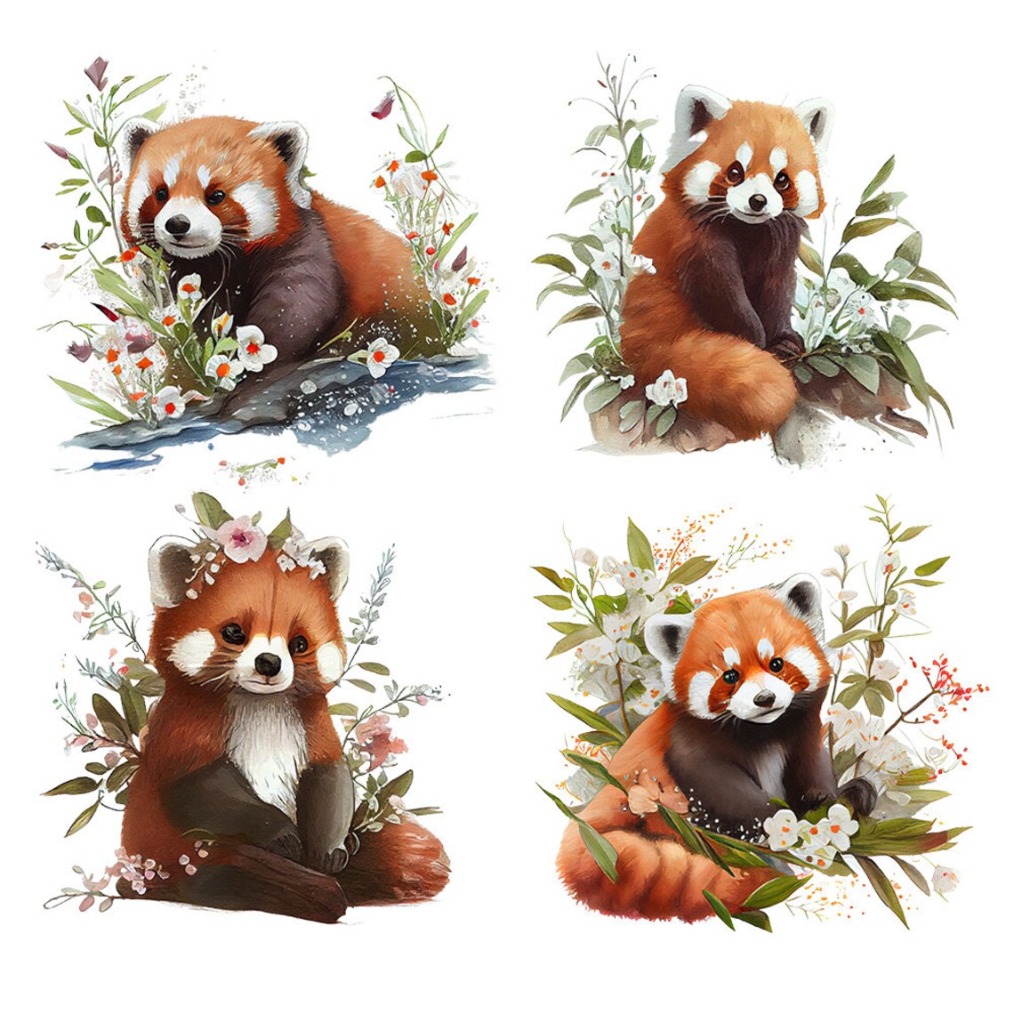 Raccoon Woodland Clipart, Raccoon PNG, Forest Animals, Cute Kawaii ...