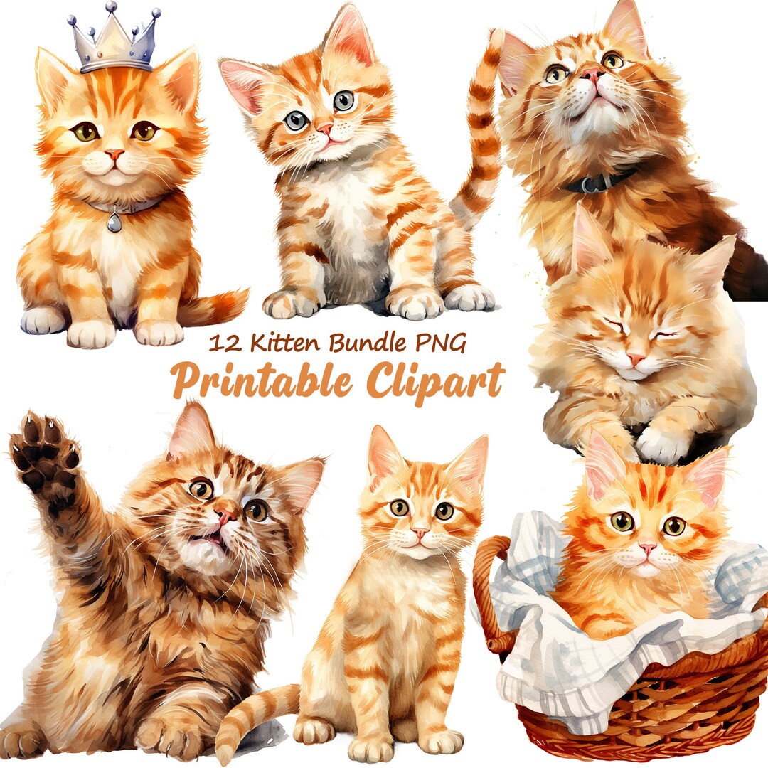 Watercolor Orange Kitten Clipart - Cute Tabby Baby Cats and Kittens ...