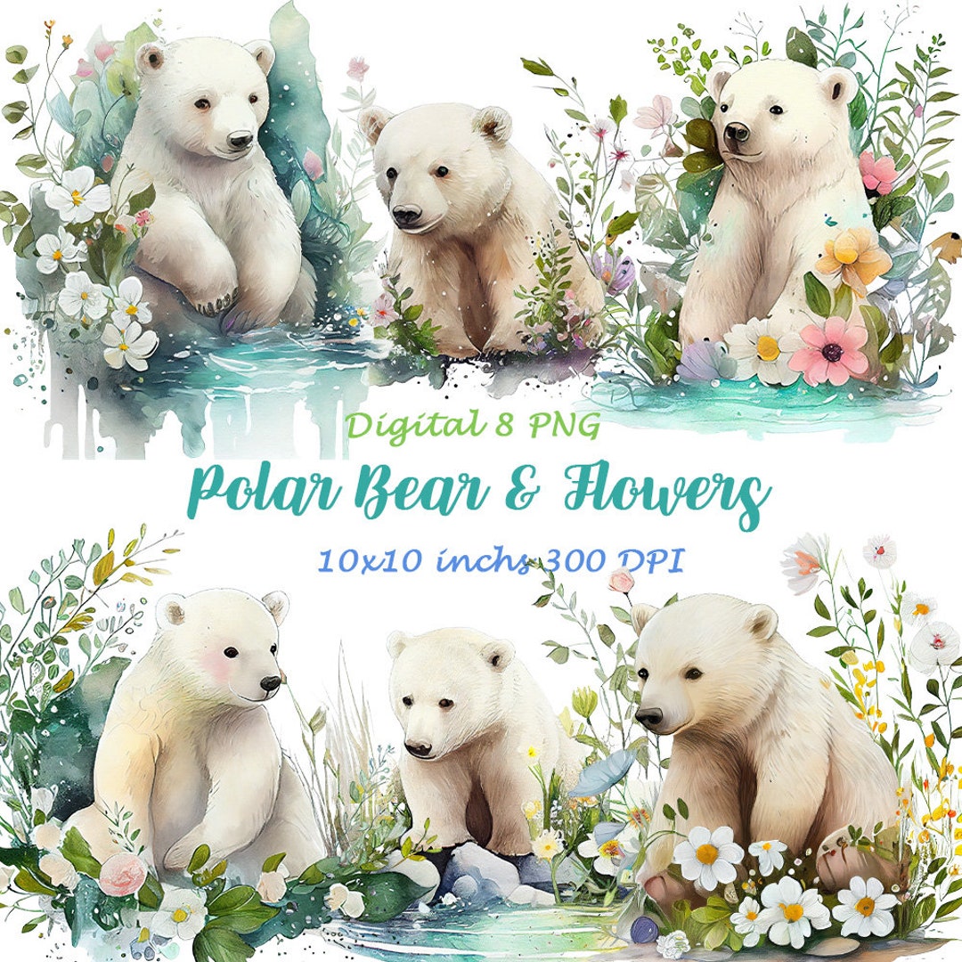 Watercolor Polar Bear Clipart, PNG, Commercial Use, Digital Download ...