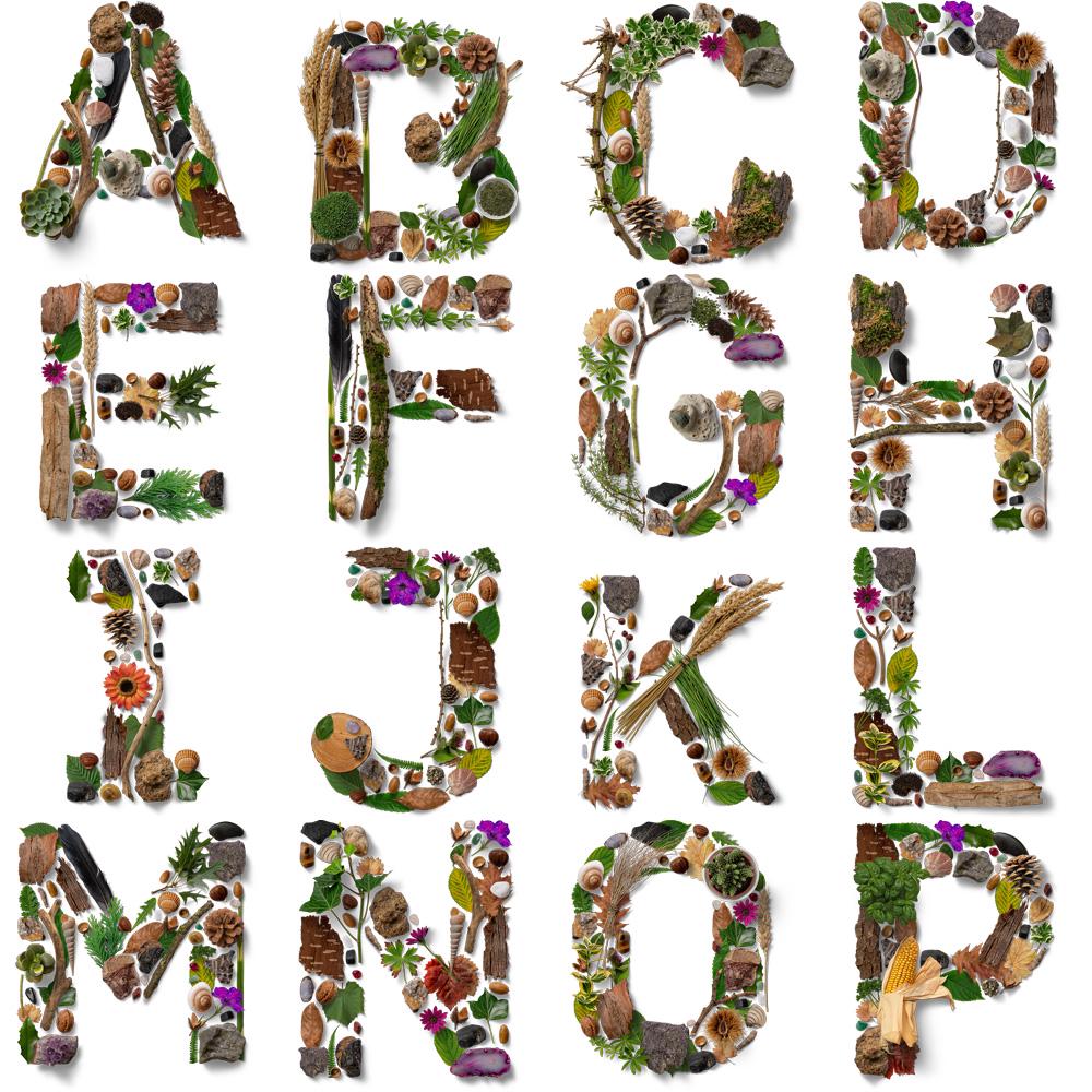 Nature Woodland Letters PNG, Floral Crystal Alpha Set (digital Download ...