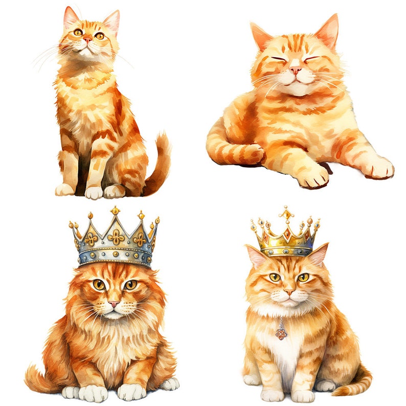 Funny Orange Cat Clipart, Orange Cat Sublimation, Realistic Cat Clip ...