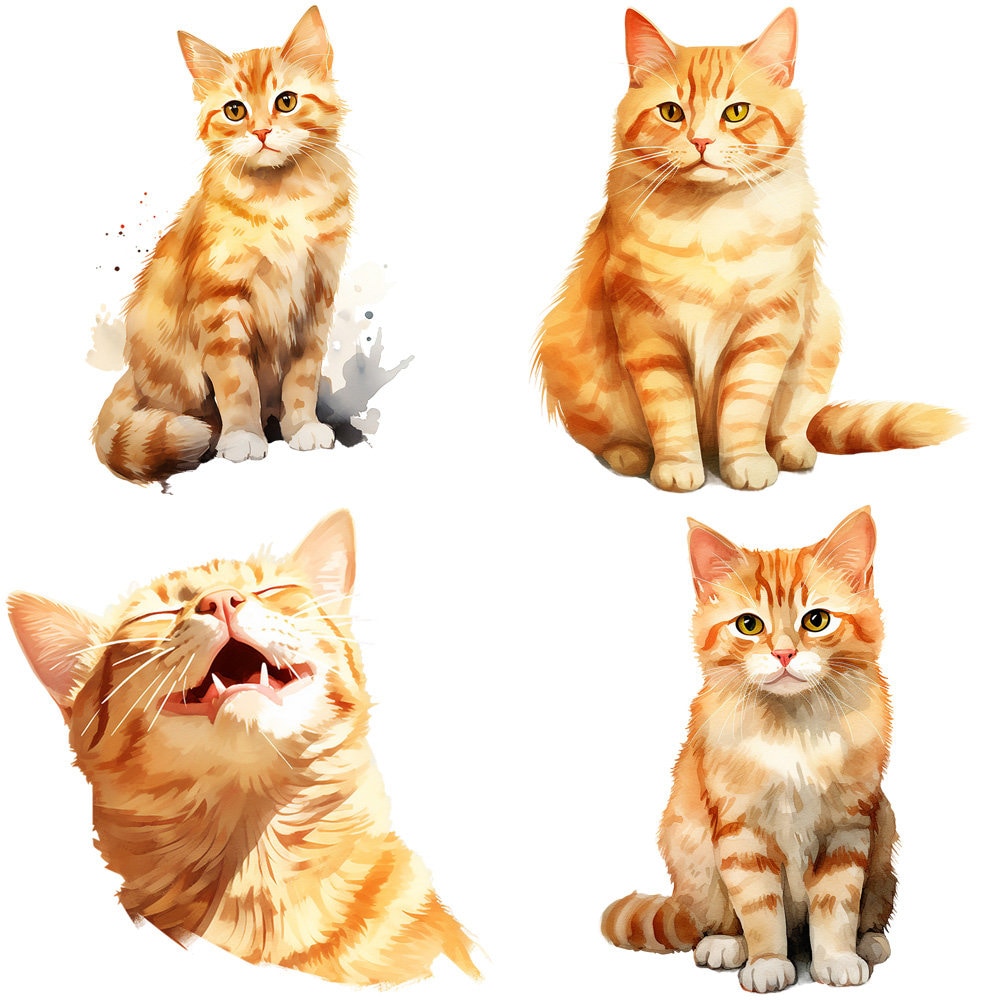 Funny Orange Cat Clipart, Orange Cat Sublimation, Realistic Cat Clip ...