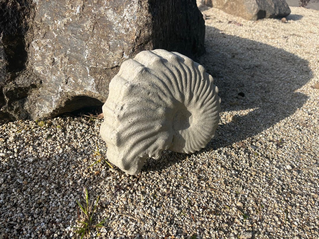 Ammonite Statue - Concrete Statuary Decor - Lawn & Garden Art - Outdoor ...