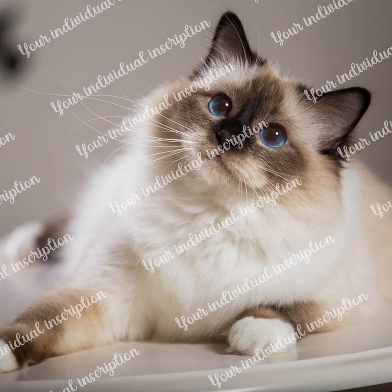 Watermark Logo - Etsy