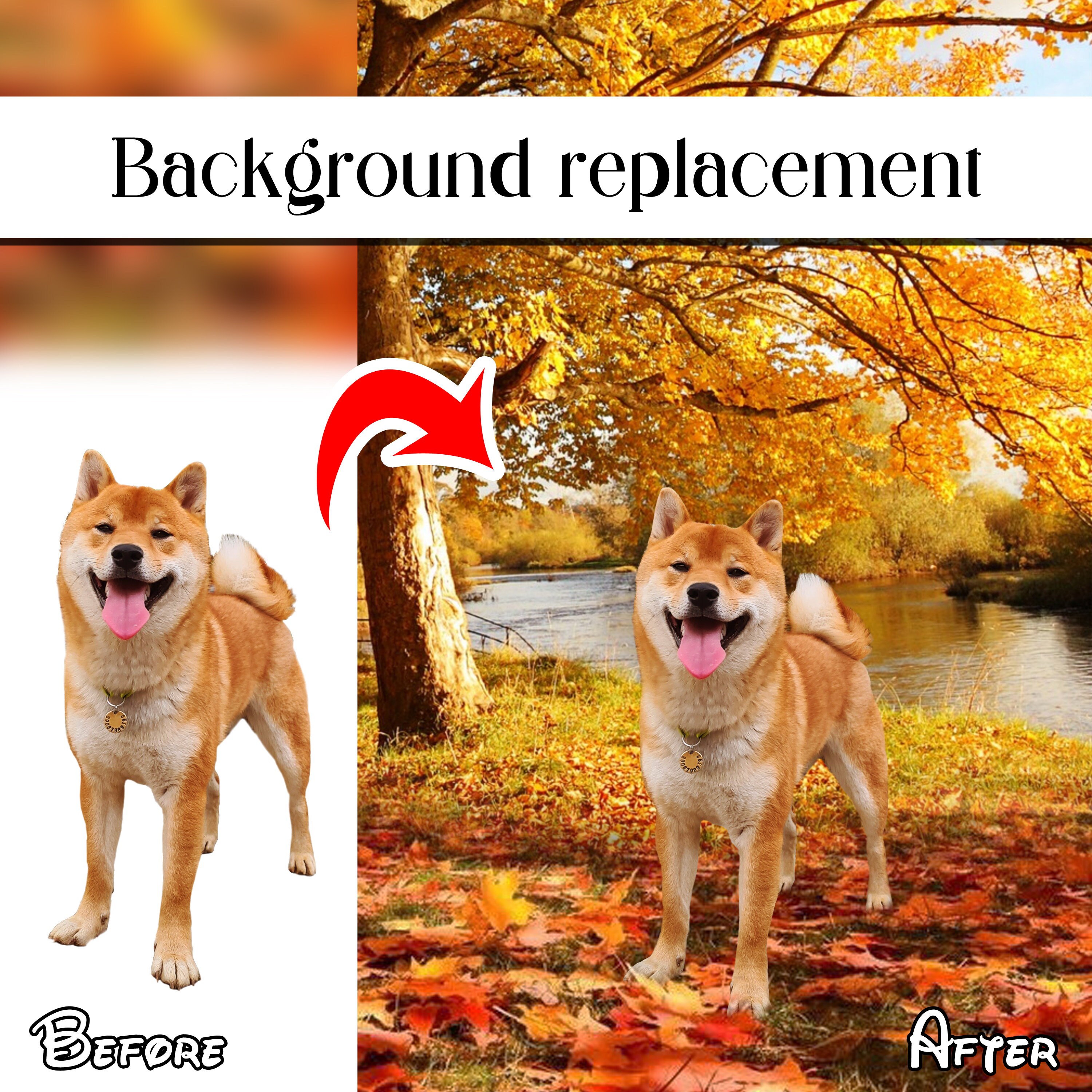 Background Removal, Background Replacement, Background Erase ...