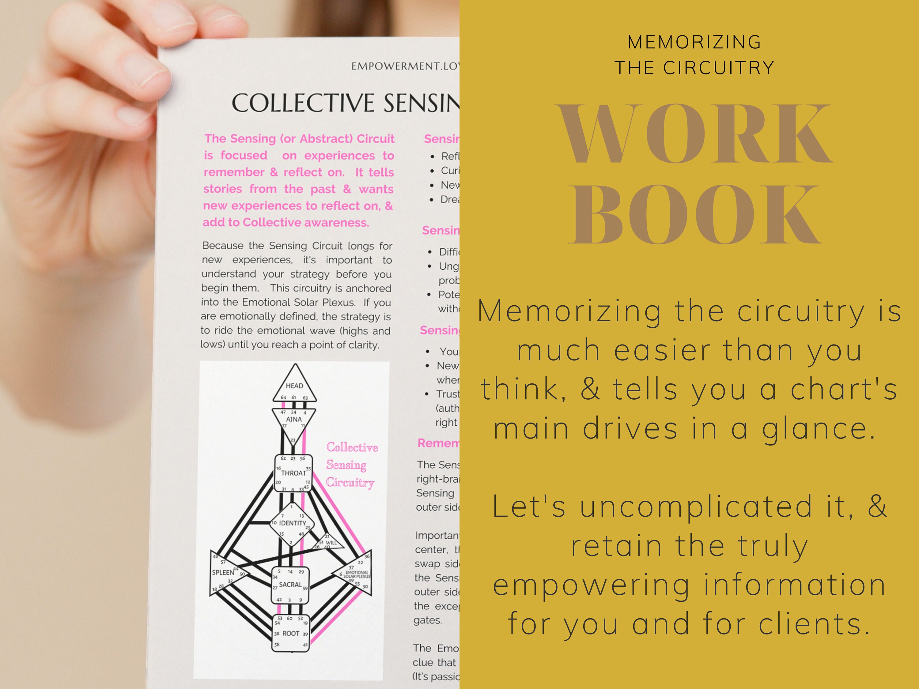 Human Design Circuitry, Human Design Chart Reading Tools, Human Design ...