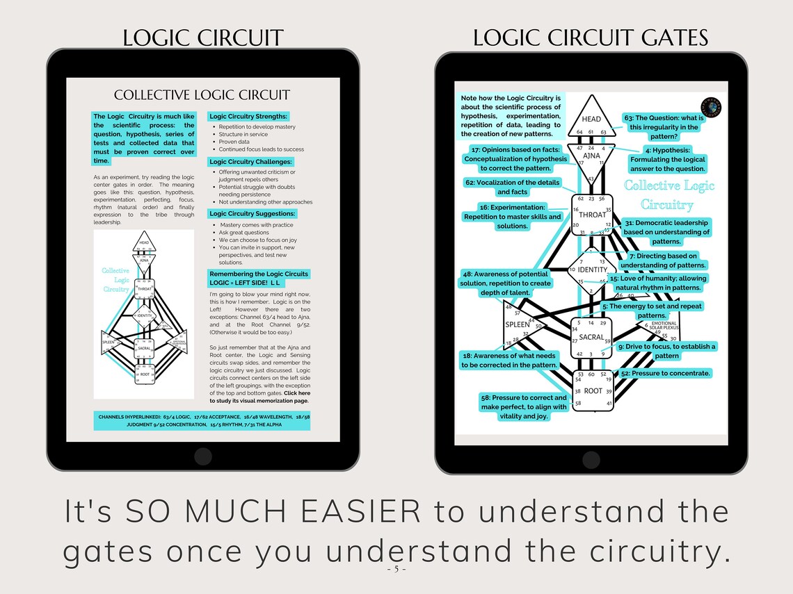 Human Design Circuitry, Human Design Chart Reading Tools, Human Design ...