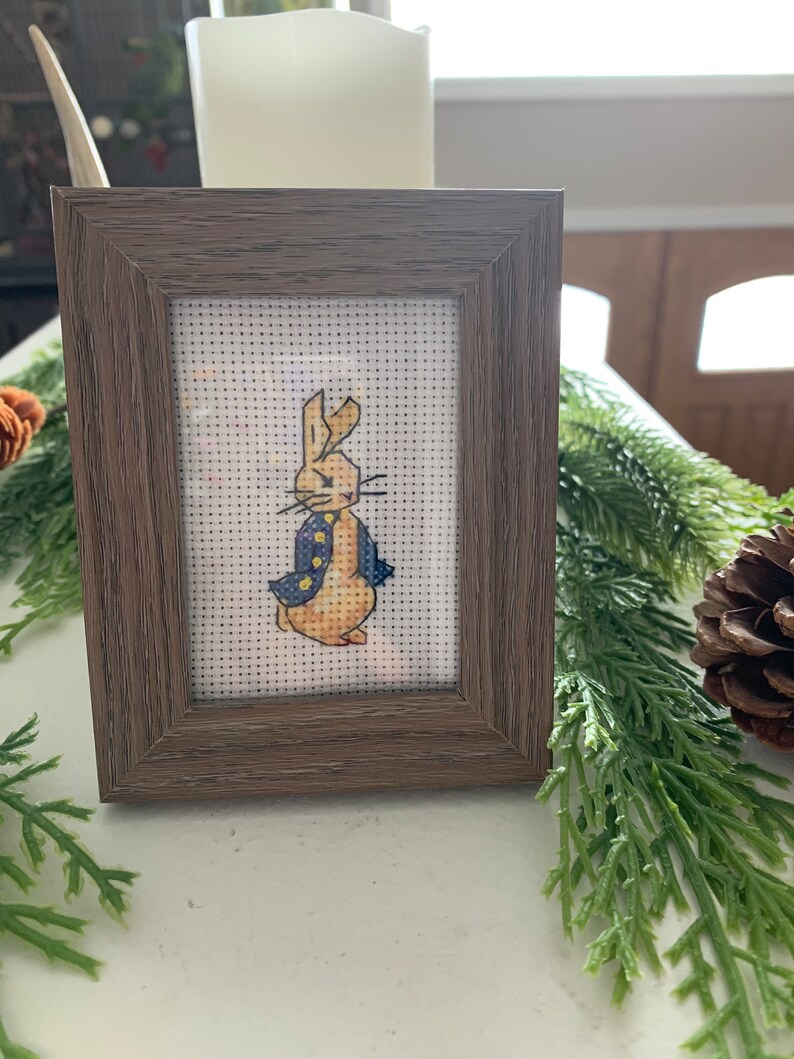 Peter Rabbit Cross Stitch Picture - Etsy