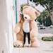 8 Ft Teddy Bear | Big 8ft Teddy Bear | Fast Shipping - Etsy