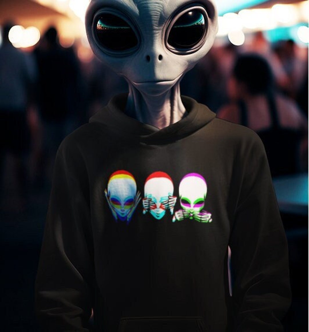 Alien Hoodie, Unisex, Alien Lovers Gift, I Didn't Hear, I Didn't See, I ...