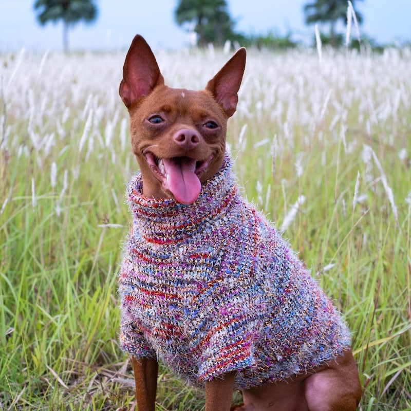 Canadian Dog Hoodies - Etsy