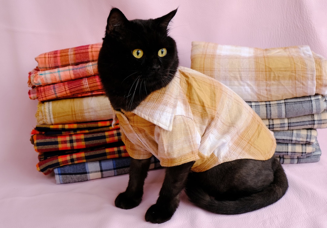 Organic Shirt for Cats | Custom Cat Shirt | | Cat Clothes | A Soft and ...