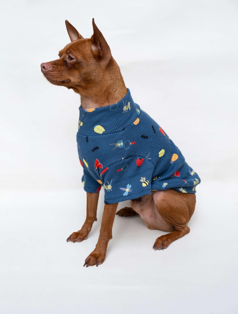 Premium T-shirts for Pet, Soft and 4-way Stretch Cotton T-shirts for ...